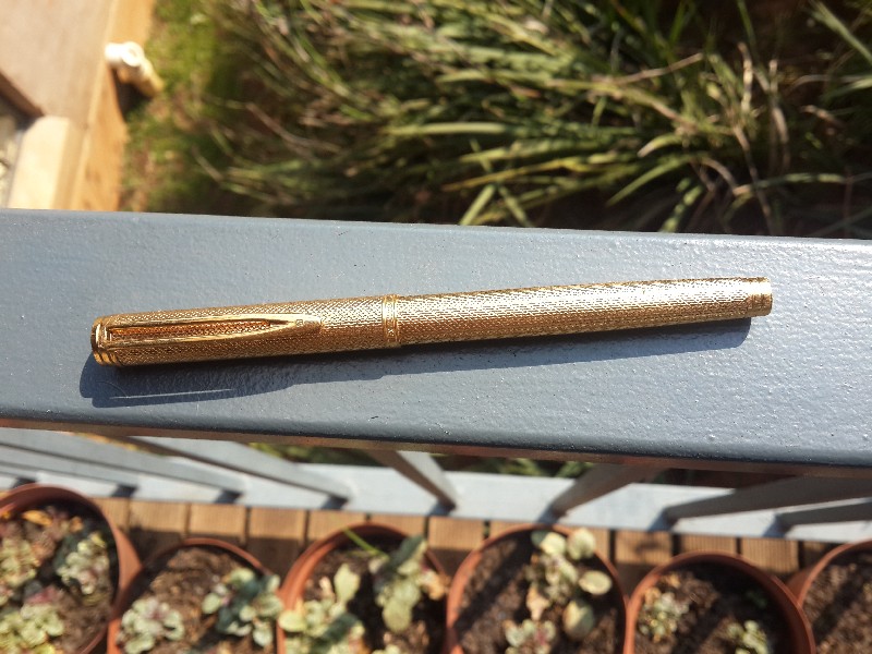 Waterman Identification Required - Waterman - The Fountain Pen Network